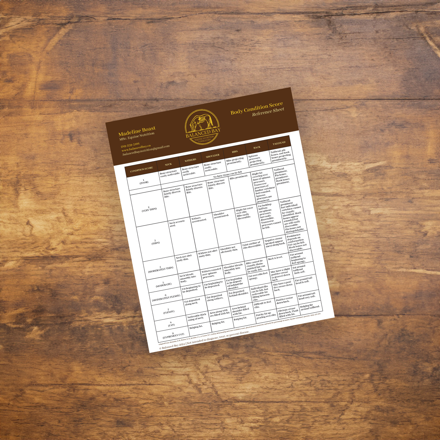 Body Condition Scoring Your Horse - Balanced Bay Nutrition