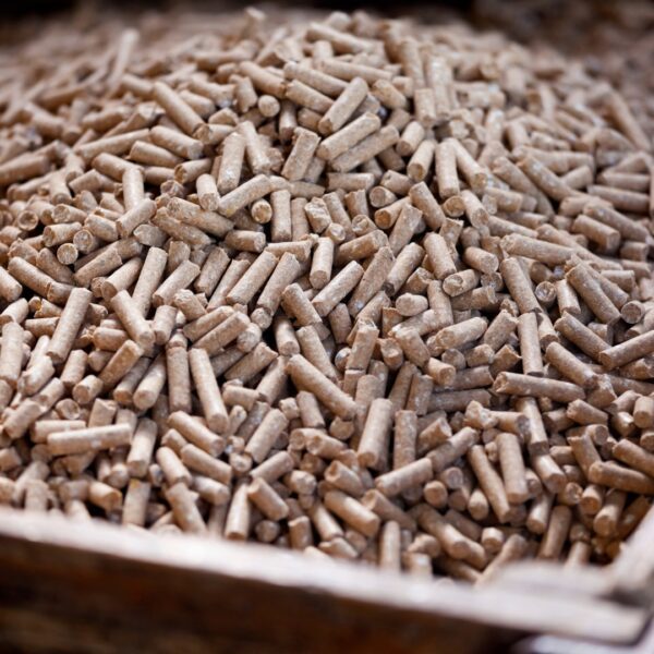 Choosing a Ration Balancer - Balanced Bay Nutrition