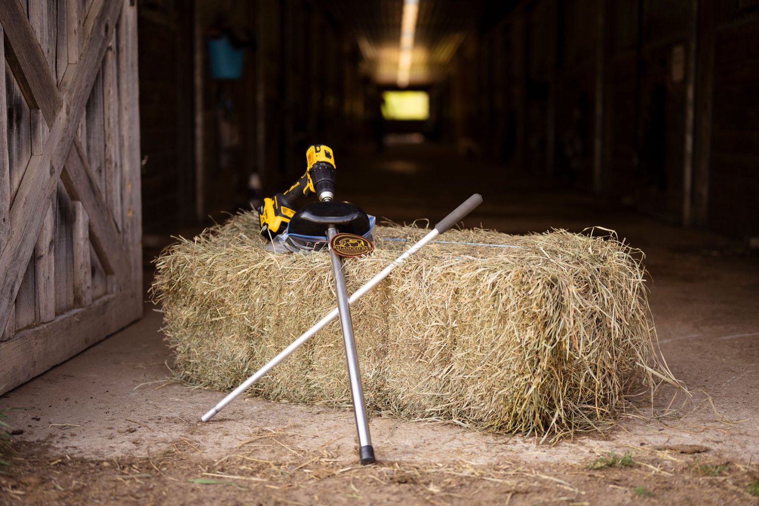 What You Need to Know About New Hay - Balanced Bay Nutrition